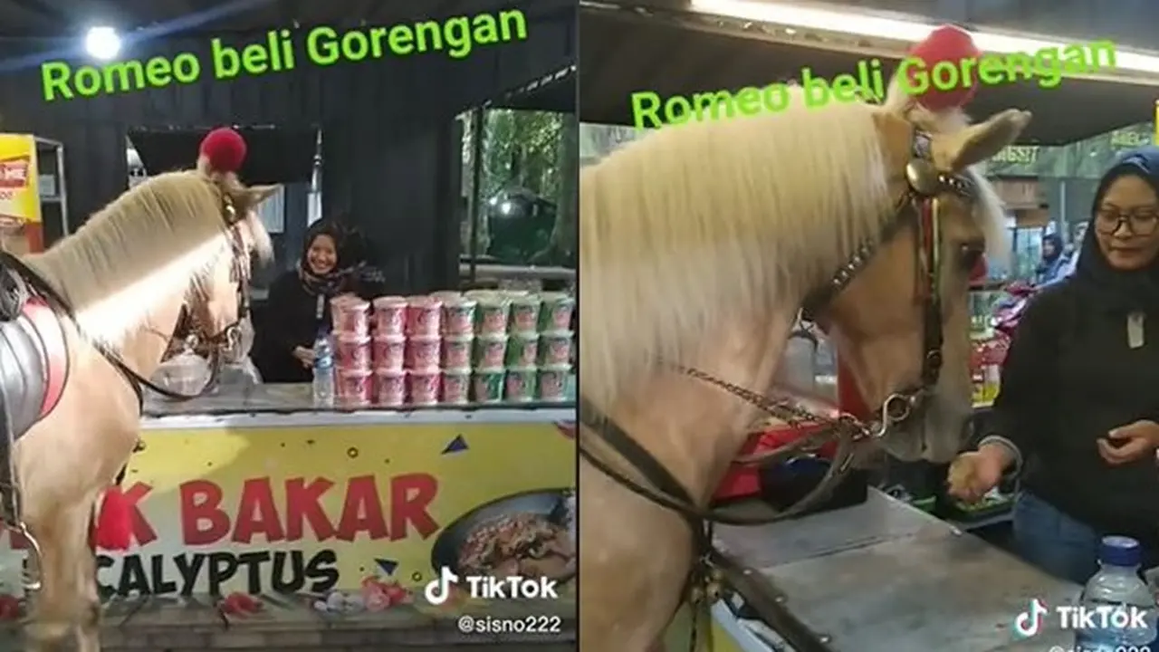 Aksi Kocak Kuda 'Romeo' Berlari Sendiri Jajan Gorengan, Bikin ...
