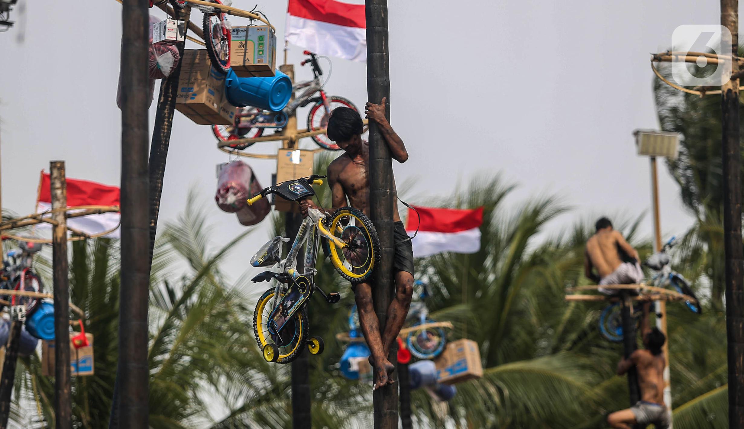 Panjat Pinang, Lomba Kolosal yang Paling Diminati Saat Perayaan HUT ...