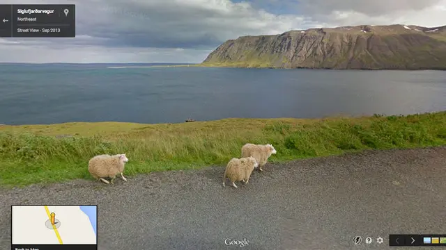 Mau Cari Kawanan Domba? Lihat di `Google Sheep View` - Global Liputan6.com