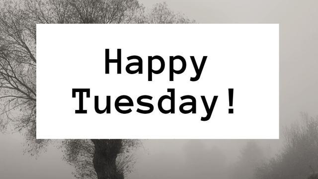 Tuesday Artinya Selasa, Kenali Juga Hari Lain dan Fakta Menarik di ...