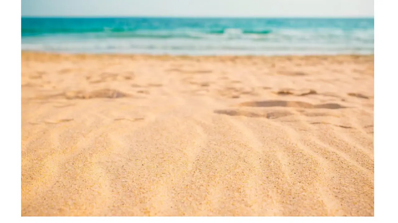 Mengenal Sedimentasi dan Dampak Pengerukan Pasir bagi Eksosistem Laut ...