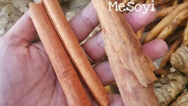 Mengenal Kayu Mesoyi, Salah Satu Bahan Jamu Terlambat Haid Serta Dibuat ...