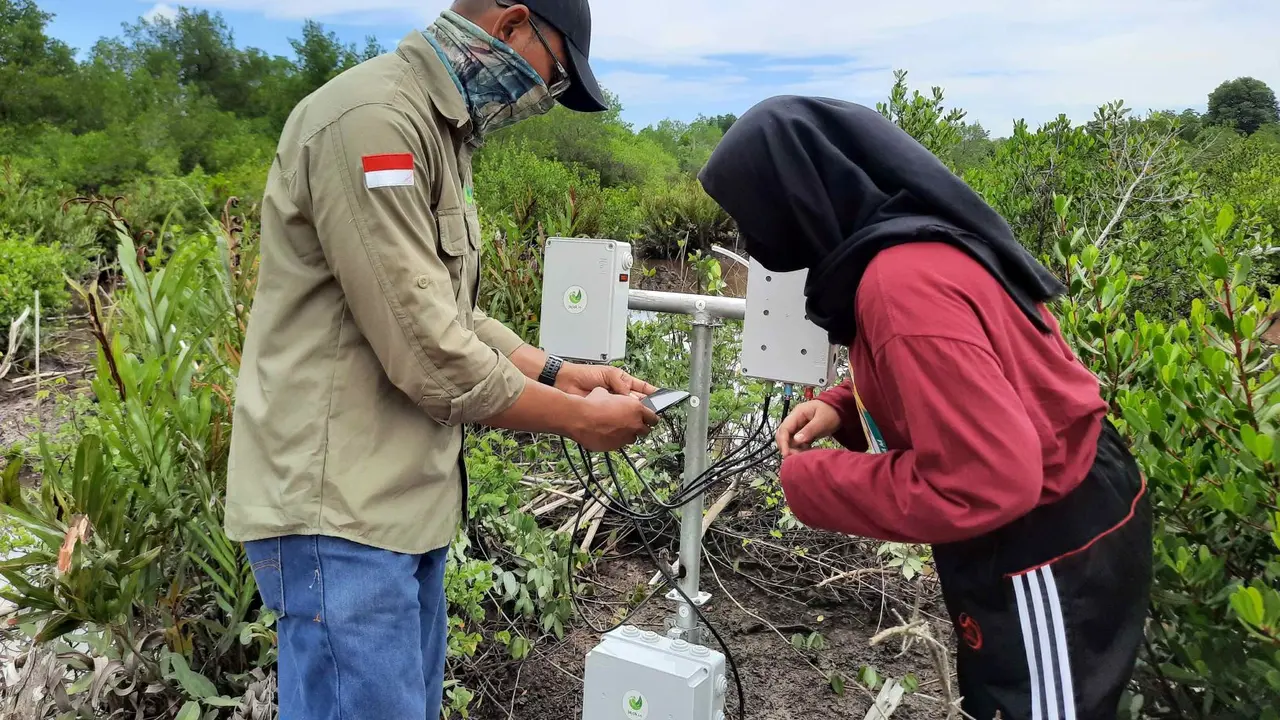 Pengertian Lingkungan, Macam, Manfaat dan Cara Melestarikannya yang ...