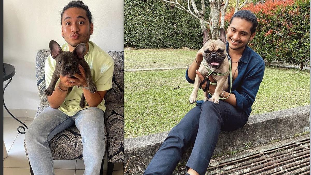 6 Potret Giorgino Abraham Bintang Love Story The Series Bersama 2 Anjing Peliharaan yang ...