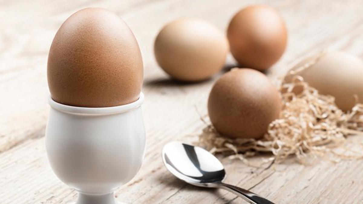 Ini Alasan Mengapa Telur Jadi Makanan Paling Sehat Untukmu - Beauty ...