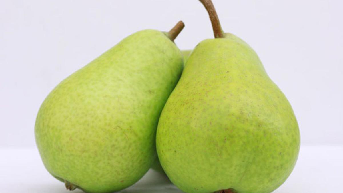 Panen Buah Australia Kini Bisa Dirasakan di Indonesia