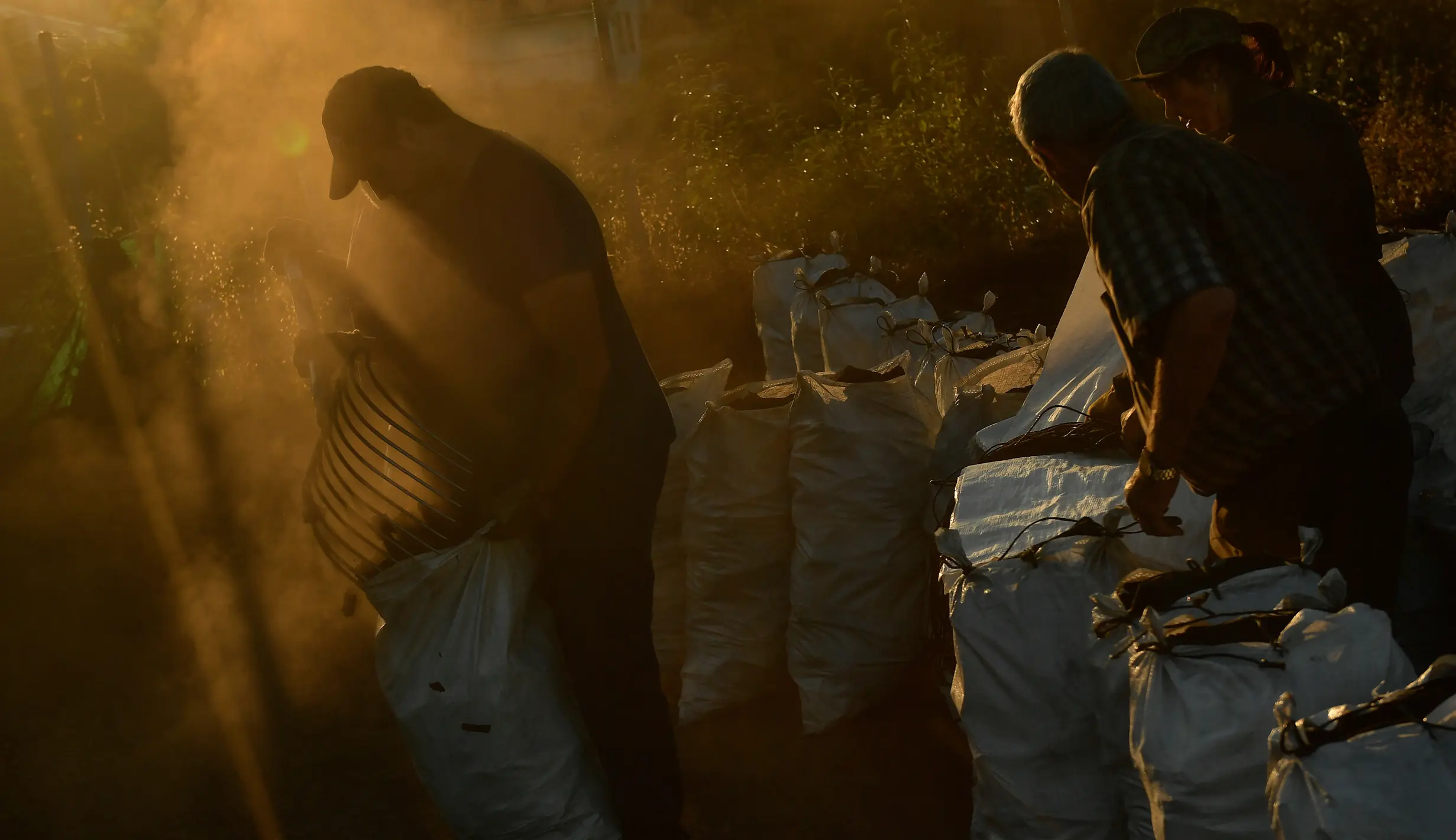 FOTO: Mengintip Pembuatan Arang Tradisional Spanyol - Foto Liputan6.com
