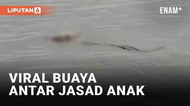 Berita sungai mahakam Hari Ini - Kabar Terbaru Terkini | Liputan6.com