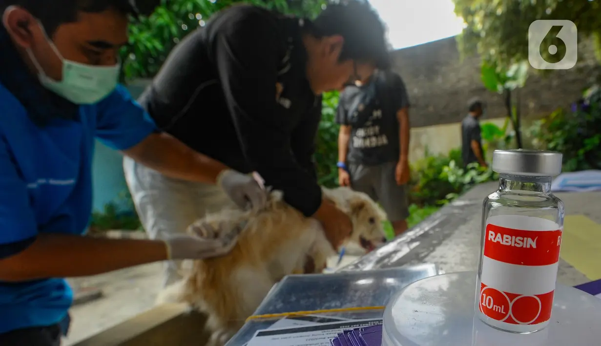 Ayo Ikut Vaksinasi Rabies Massal di Depok - Foto Liputan6.com