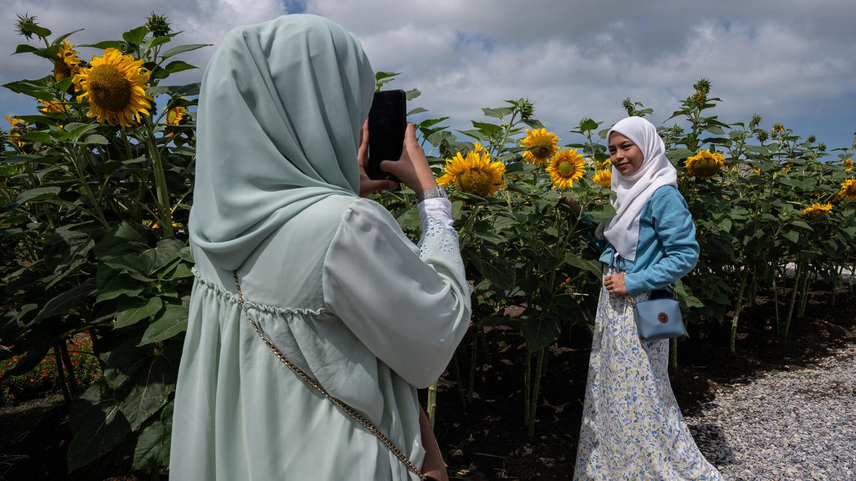 FOTO: Mengunjungi Taman Bunga Matahari di Bagan Datuk Malaysia