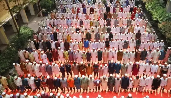 Titanokorys Gainesi, Fosil 'Raksasa' Berusia 500 Juta Tahun yang ...