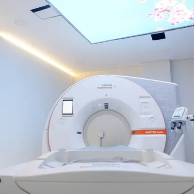 Photon-counting Naeotom Alpha Terbaru - Berita, Foto, Video | Fimela.com