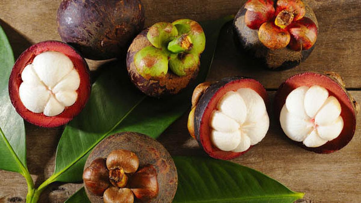 Manggis, Si Manis yang Multifungsi Bagi Kesehatan Tubuh - Beauty Fimela.com