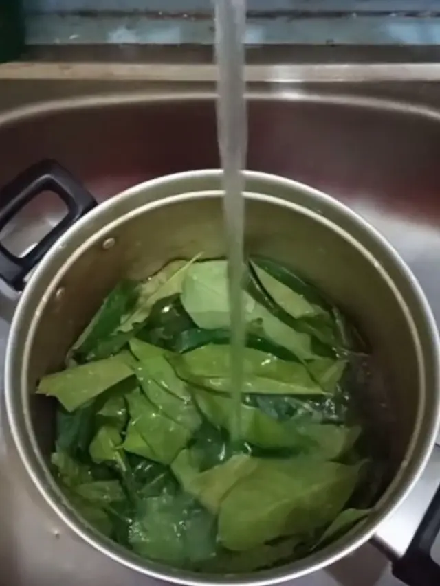 Cara Awetkan Daun Salam Agar Tetap Hijau dan Harum, Tahan 2 Minggu ...