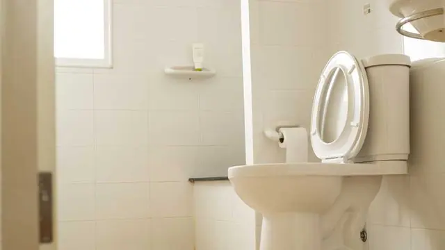 Ketahui Kondisi Kesehatan Anda Lewat 5 Warna Feses Berikut Ini ...