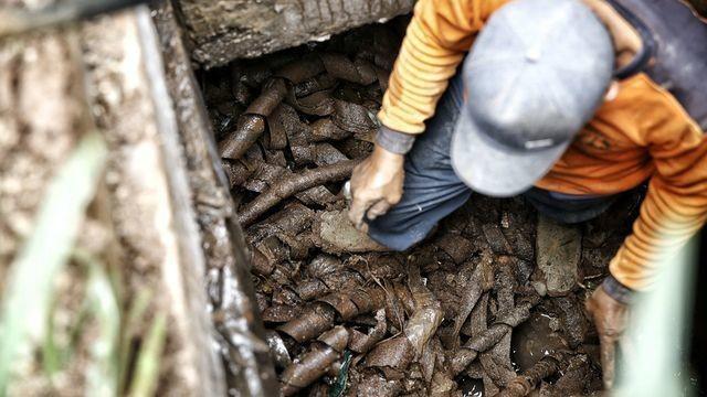 Berita Kabel PLN Hari Ini - Kabar Terbaru Terkini | Liputan6.com