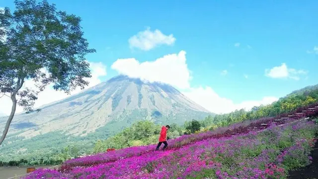 6 Fakta Menarik Gunung Inierie yang Merupakan Puncak Tertinggi di ...