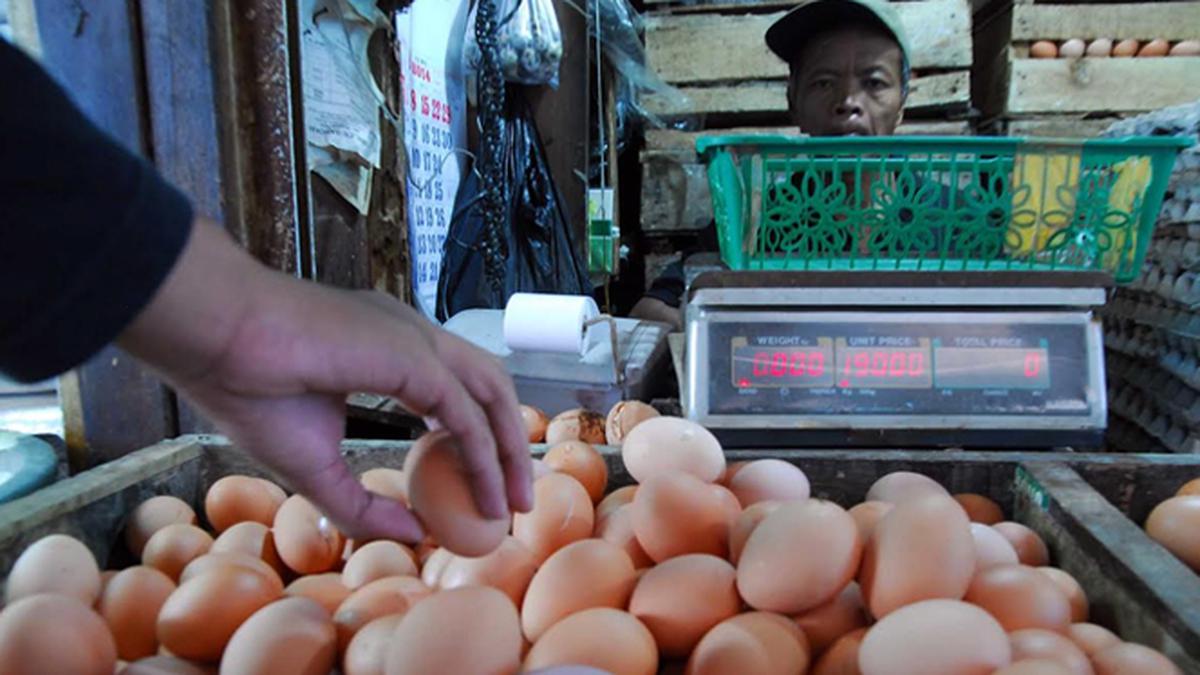 Pantauan Pasar: Harga Telur, Gula dan Minyak Curah Masih Stabil