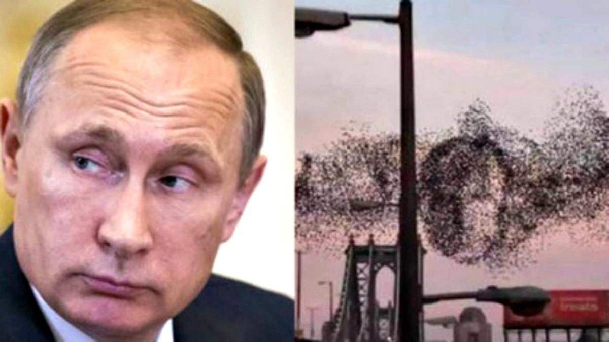 Penampakan 'Muka' Vladimir Putin di Langit New York - Global Liputan6.com