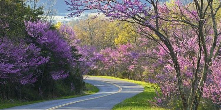 10 Potret Jalan Terindah di Dunia, Punya Pemandangan Menakjubkan ...