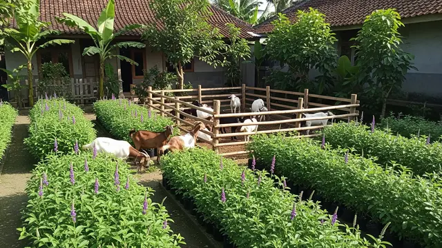 8 Tanaman Produktif yang Cocok Dipadukan dengan Ternak Rumahan Skala Kecil