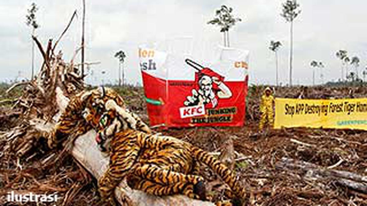 KFC Bisa Laporkan Greenpeace - News Liputan6.com