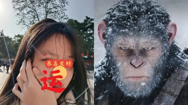 Bak Film Planet of the Apes, Wanita Ini Dilempar Botol oleh Simpanse ...