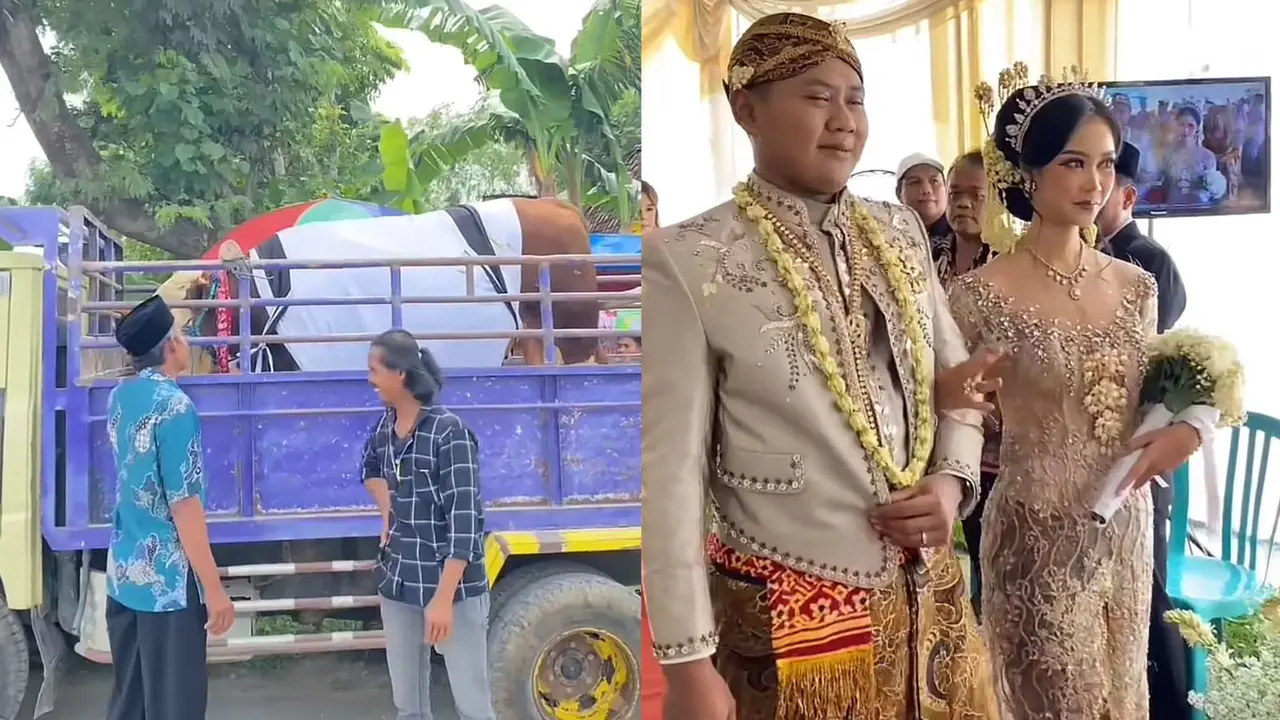 Viral Pengantin Pria Berikan Mahar Mobil Pajero Sport dan Vespa hingga Sapi di Hari Pernikahan ...