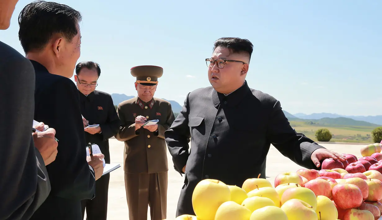 PHOTO: Kim Jong-un Semringah Lihat Kebun Apelnya Subur - Foto Liputan6.com
