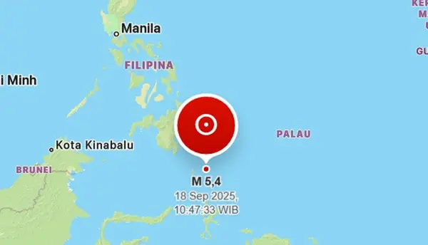 Siapa Msbreewc, Ramai Jadi Sorotan di Media Sosial - Regional Liputan6.com
