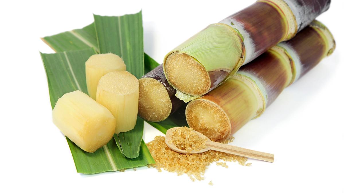 13 Manfaat Air Tebu Murni untuk Kesehatan, Bisa Turunkan Berat Badan ...