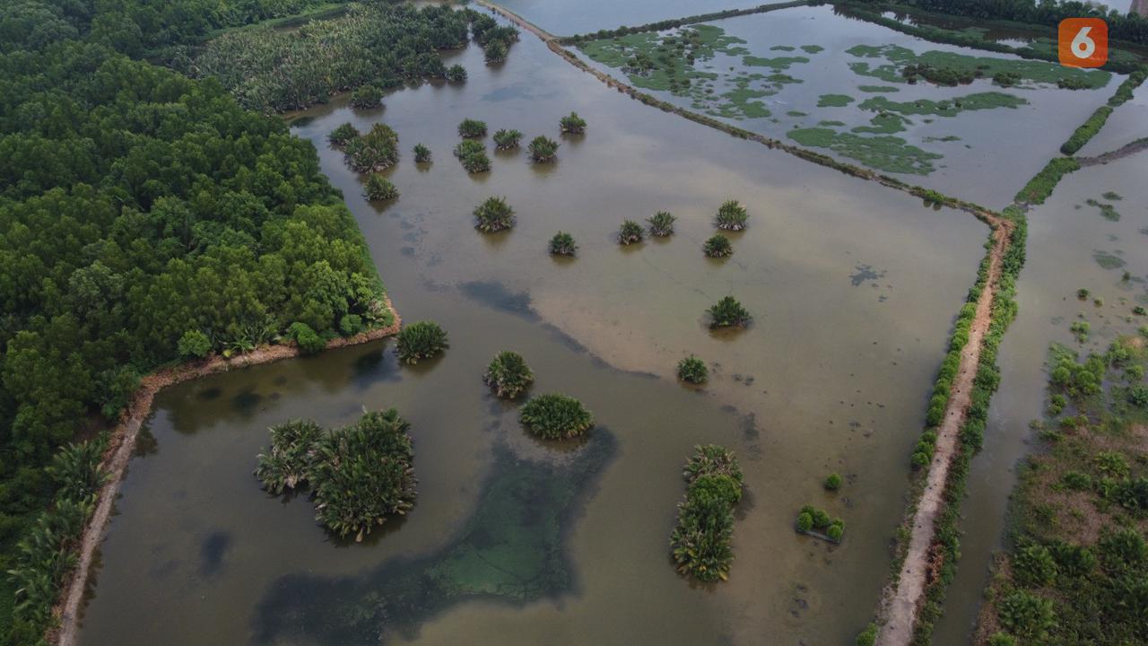 Delta Adalah Endapan di Muara Sungai, Kenali Jenis dan Proses Terbentuknya
