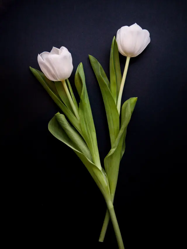 Cara Membuat Bunga dari Pita Kecil yang Mudah dan Sederhana - Hot ...