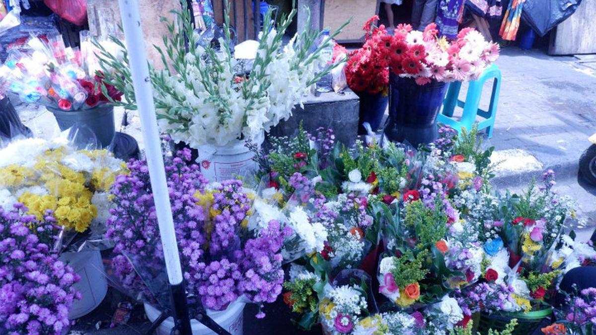 Pedagang Bunga Ikut Raup Untung di Pasar Petak Sembilan Glodok - Bisnis ...