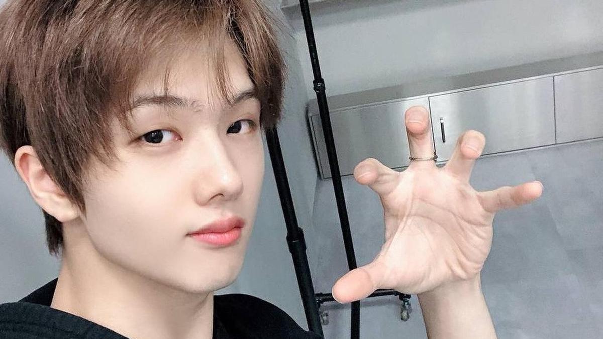 6 Artis Korea Selatan yang Punya Nama Jisung, Termasuk Member NCT ...