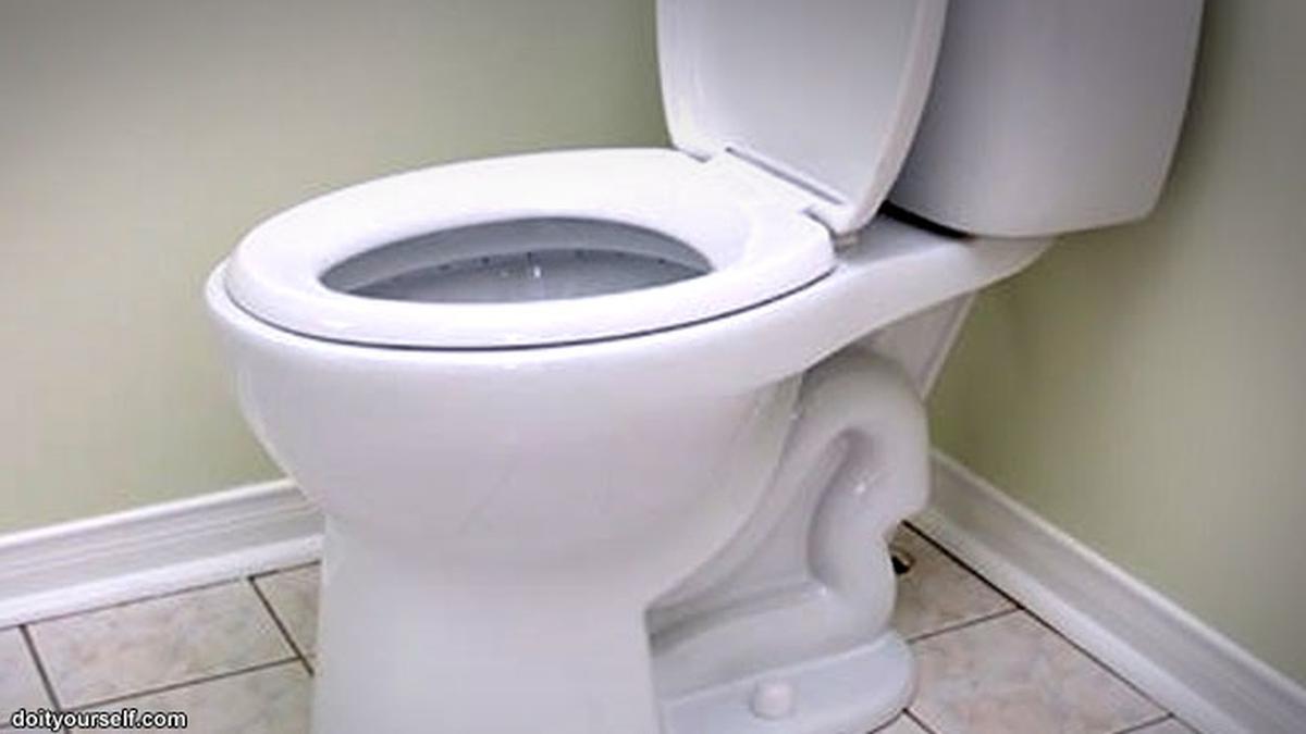 Buang Air Besar yang Benar Jongkok atau Duduk? - Health Liputan6.com
