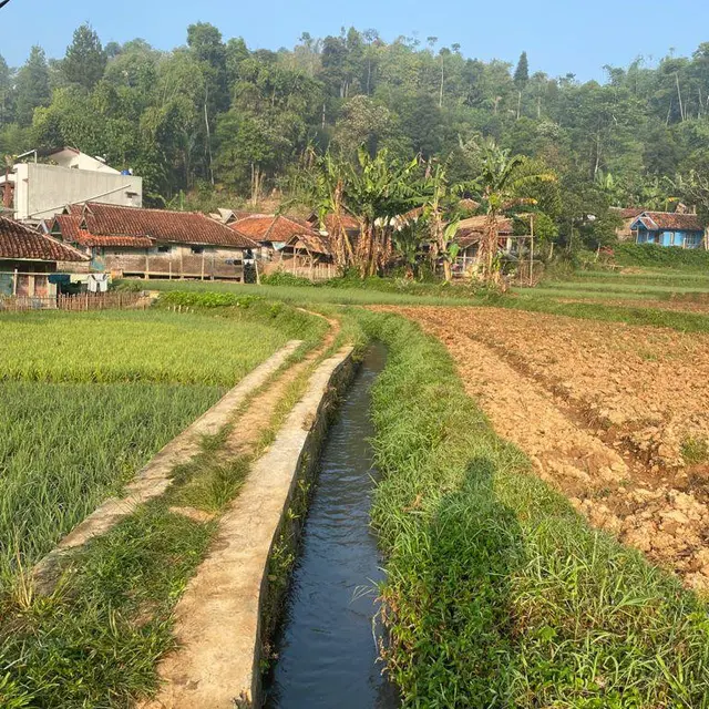 Kementerian Pertanian Realisasikan Program RJIT untuk Kelompok Tani di ...