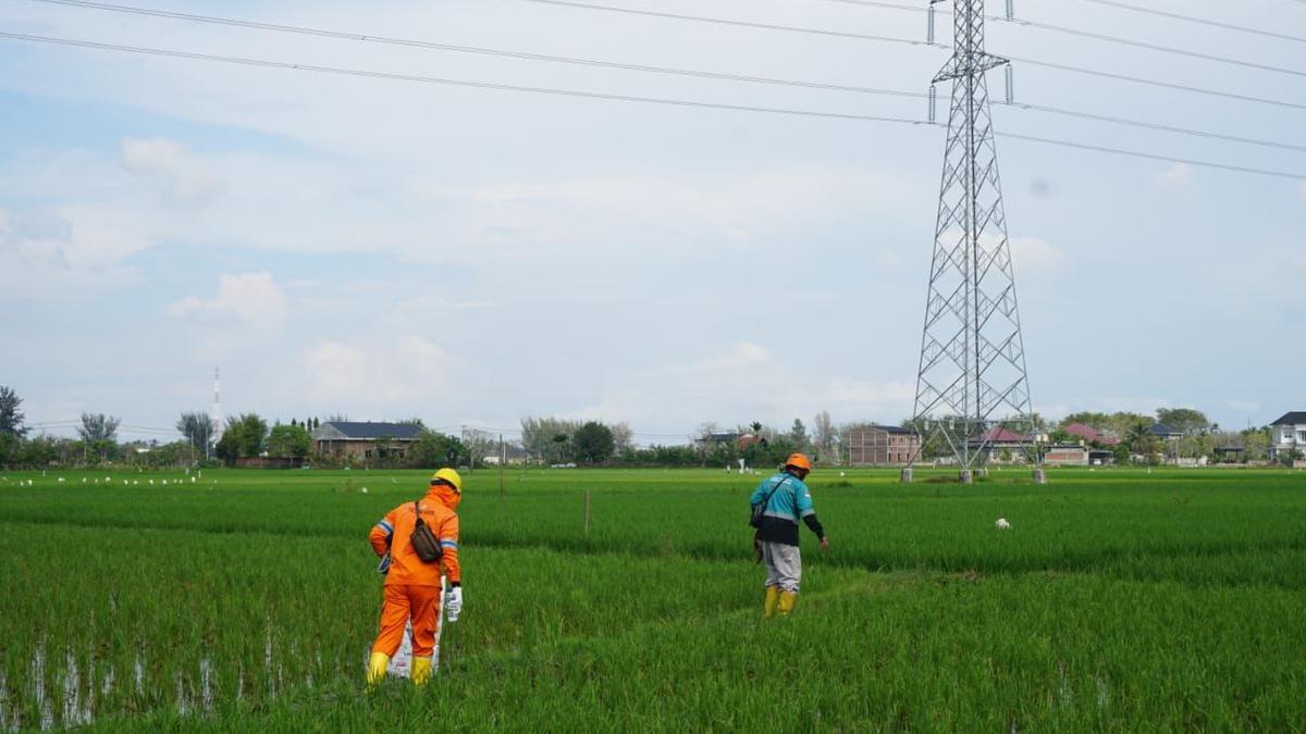 PLN Kebut Pembangunan SUTET-GITET 275 kV di Aceh - Bisnis Liputan6.com