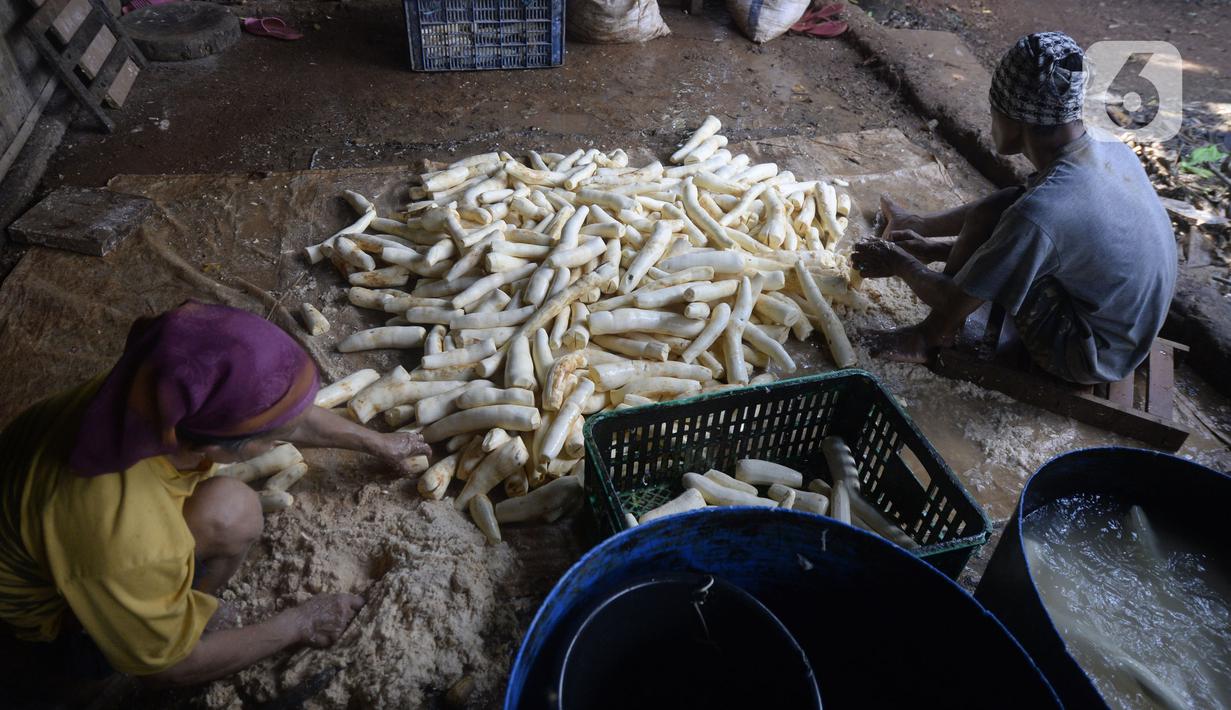 FOTO: Melihat Proses Pembuatan Tape Singkong - Foto Liputan6.com