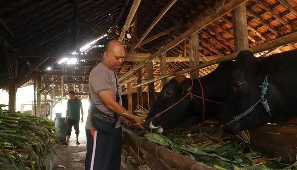 PTDI Gandeng Linkfield Technologies untuk Penyediaan Komponen Pesawat ...