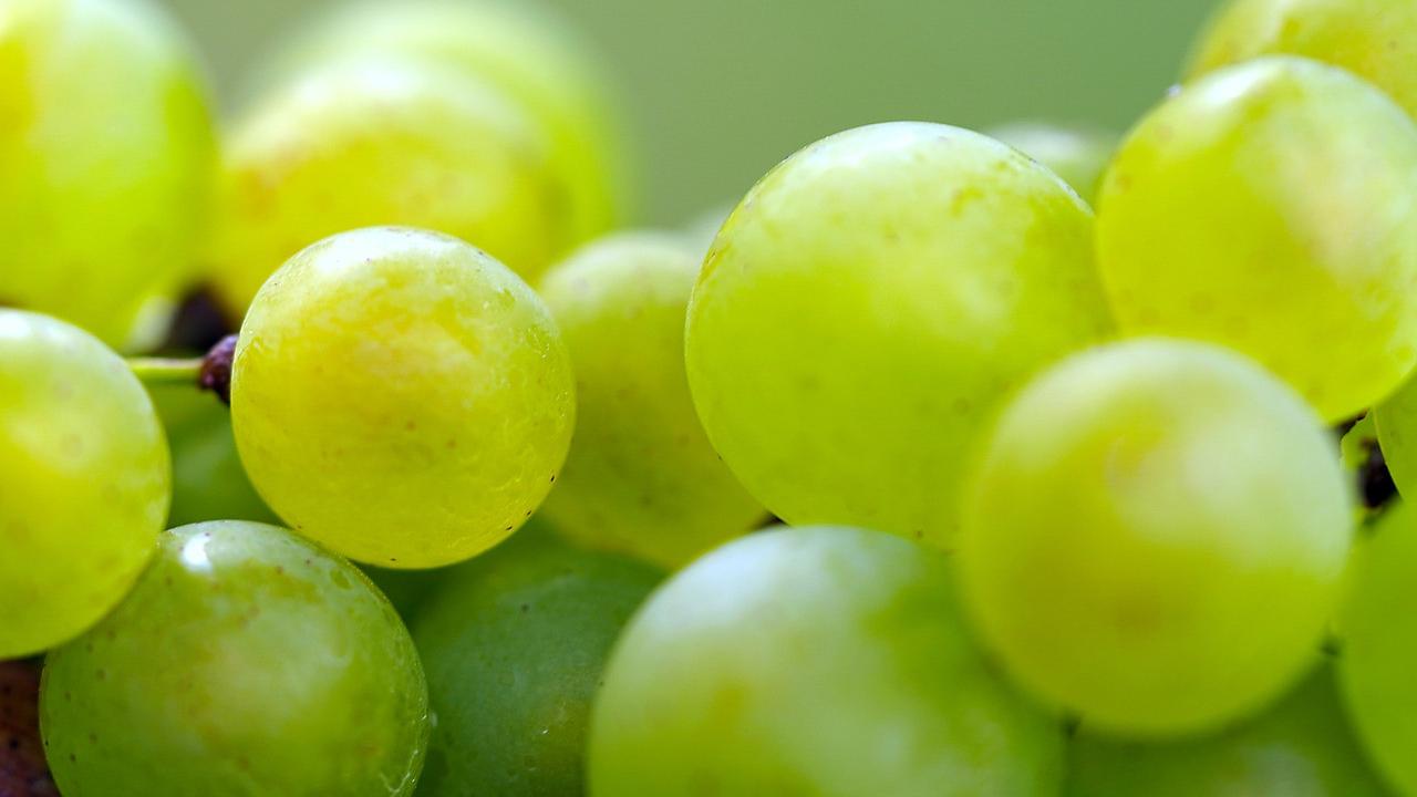 Mengapa Anggur Shine Muscat Mahal? Ini Penyebabnya dan Tips Membelinya