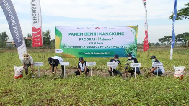 Program Makmur Petrokimia Gresik Diikuti 21.344 Petani - Bisnis Liputan6.com