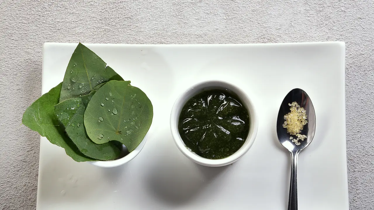 19 Manfaat Daun Cincau Selain untuk Minuman, Obat Segala Penyakit - Hot ...