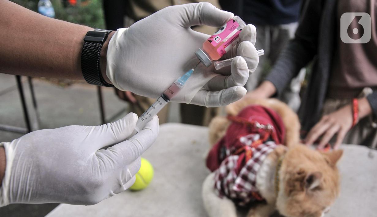 Sudin KPKP Jakarta Selatan Gelar Vaksinasi Rabies Gratis untuk Hewan ...