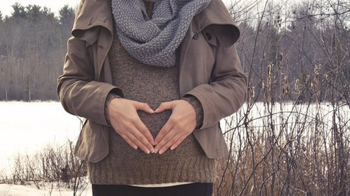 Tips Aman Melakukan Perjalanan untuk Ibu Hamil, Penting Mom