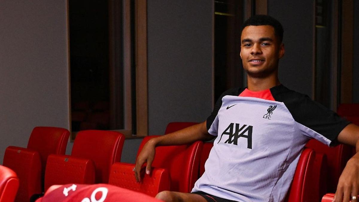 Liga Inggris: Pesan Virgil van Dijk untuk Kopites setelah Cody Gakpo ...