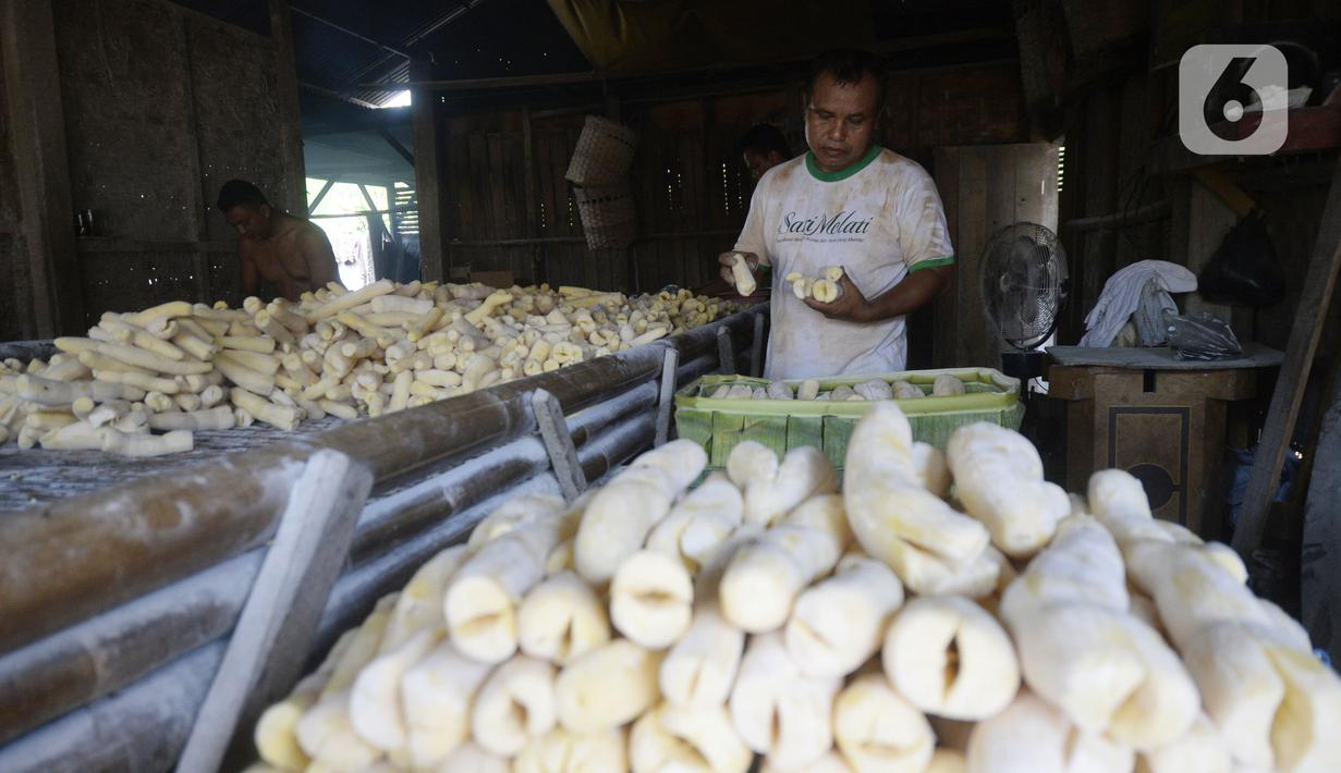 FOTO: Melihat Proses Pembuatan Tape Singkong - Foto Liputan6.com