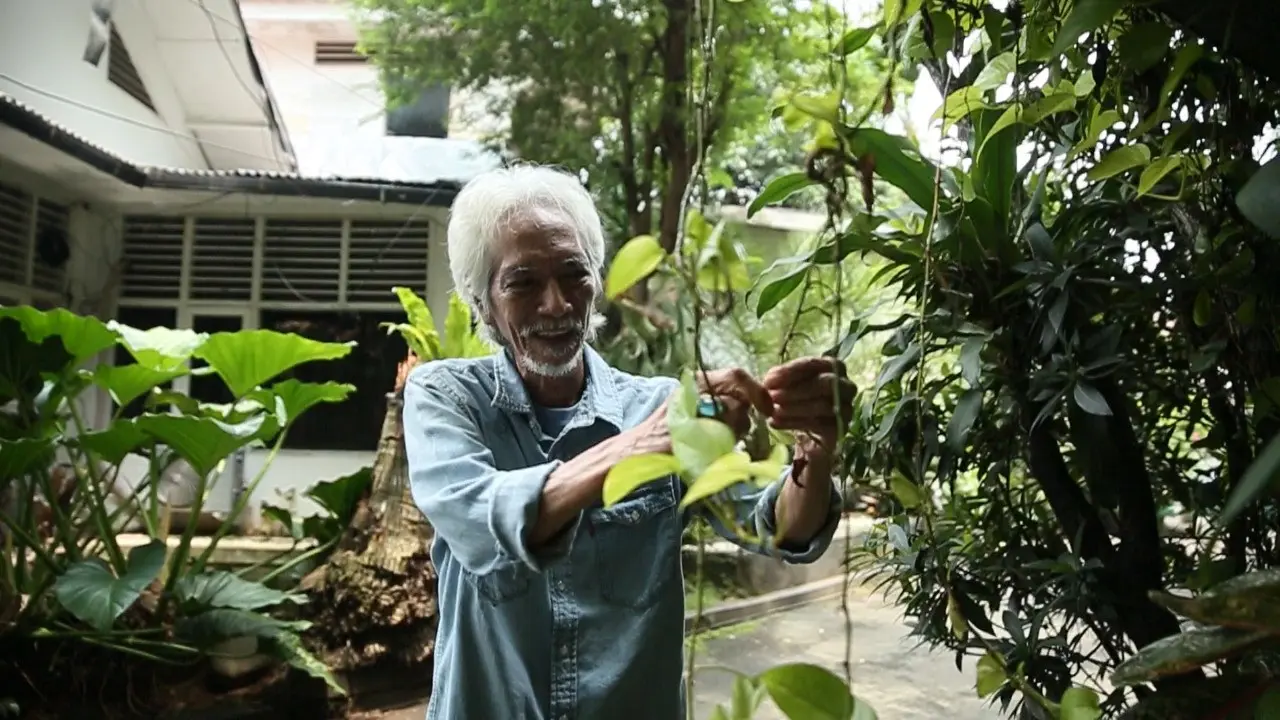 Yok Koes Plus: Nama Ibu Kota Negara Lebih Tepat Jaya Nusa, Nusantara ...