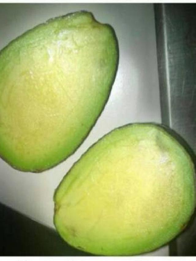 6 Bentuk Alpukat Ini Tidak Seperti Biasanya, Unik Banget - Hot Liputan6.com