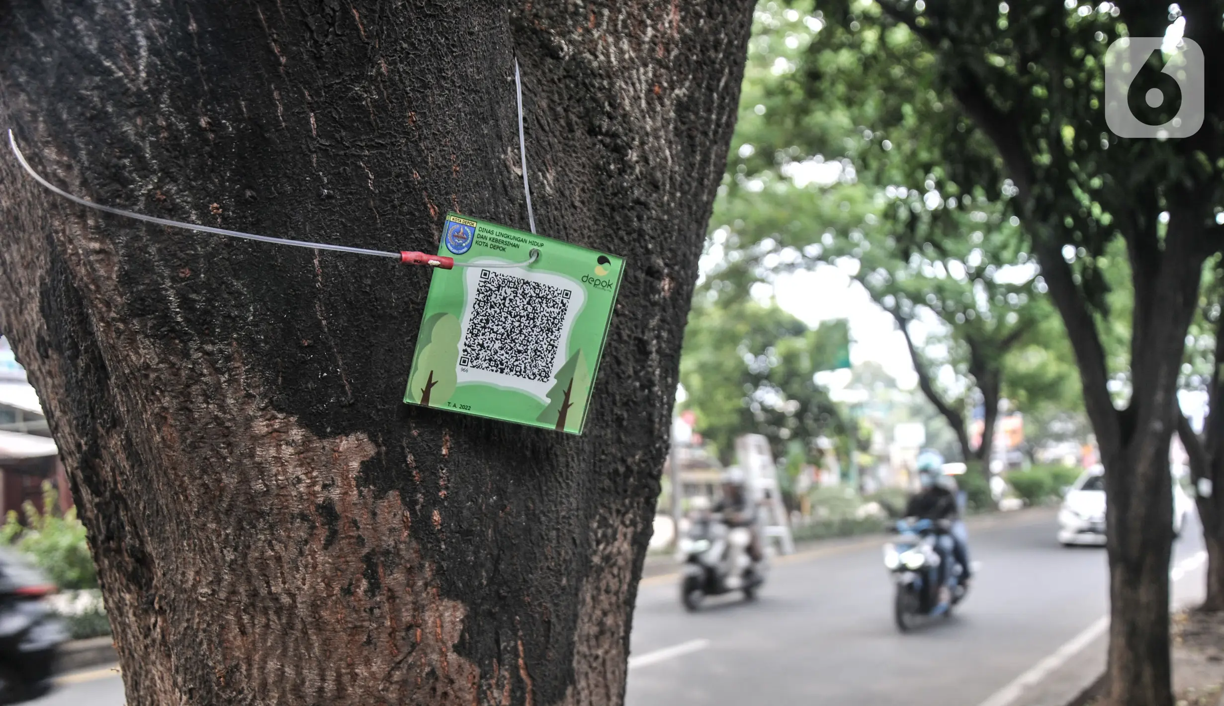 Ribuan Pohon di Depok Dipasang QR Code - Foto Liputan6.com